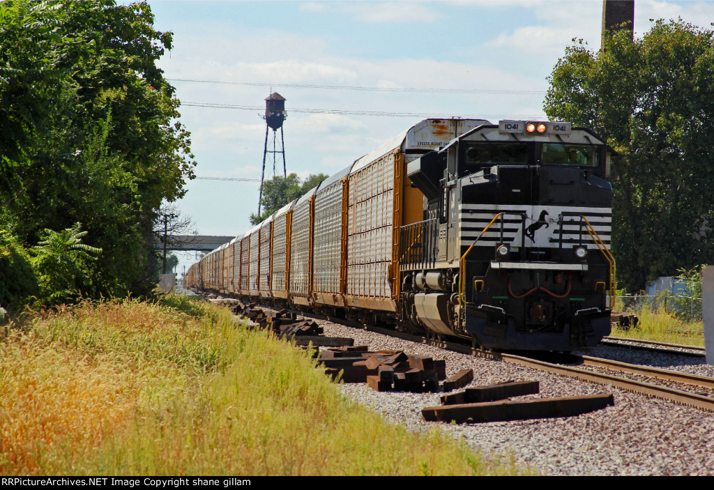 NS 1041 Solo Ace on a autorack train.